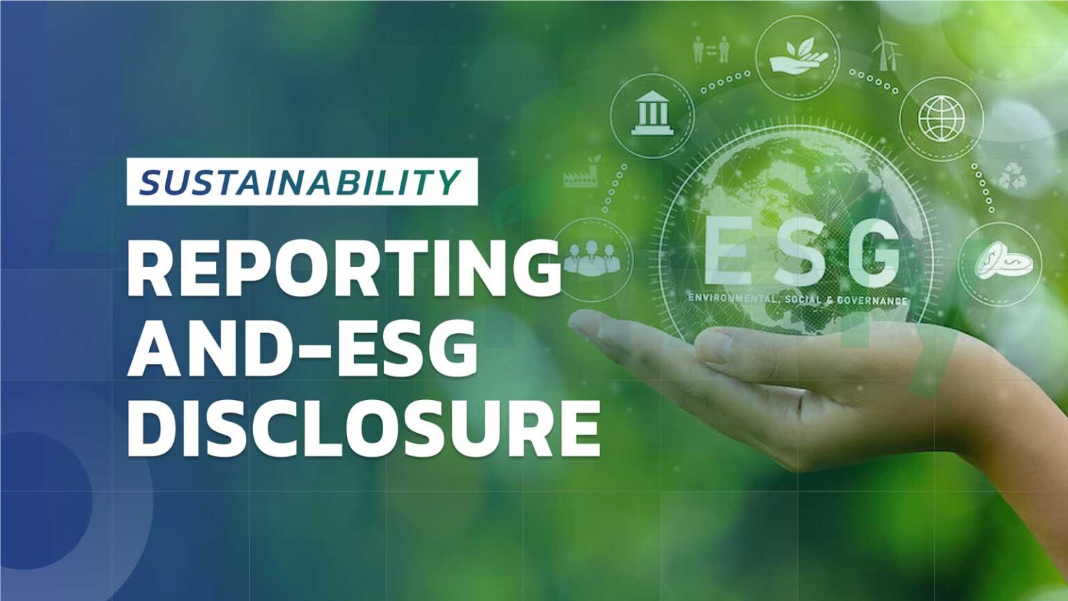 Sustainability Reporting And ESG Disclosure | Climefy