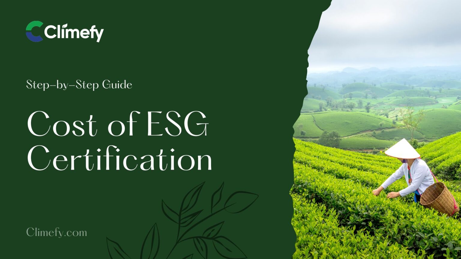 Cost Of ESG Certification For Individuals & Firms | Climefy