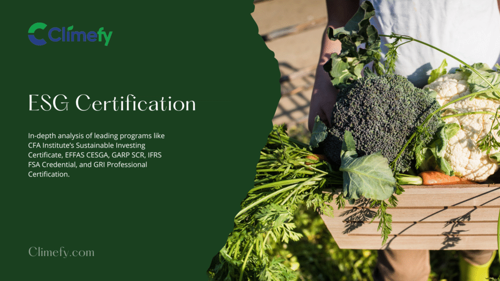 ESG Certification Guide: Best Programs For Professionals | Climefy