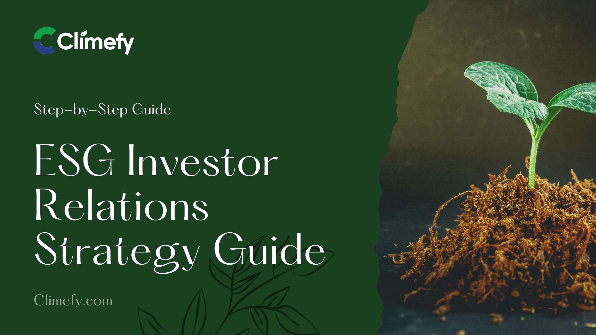 ESG Investor Relations Strategy Guide | Climefy