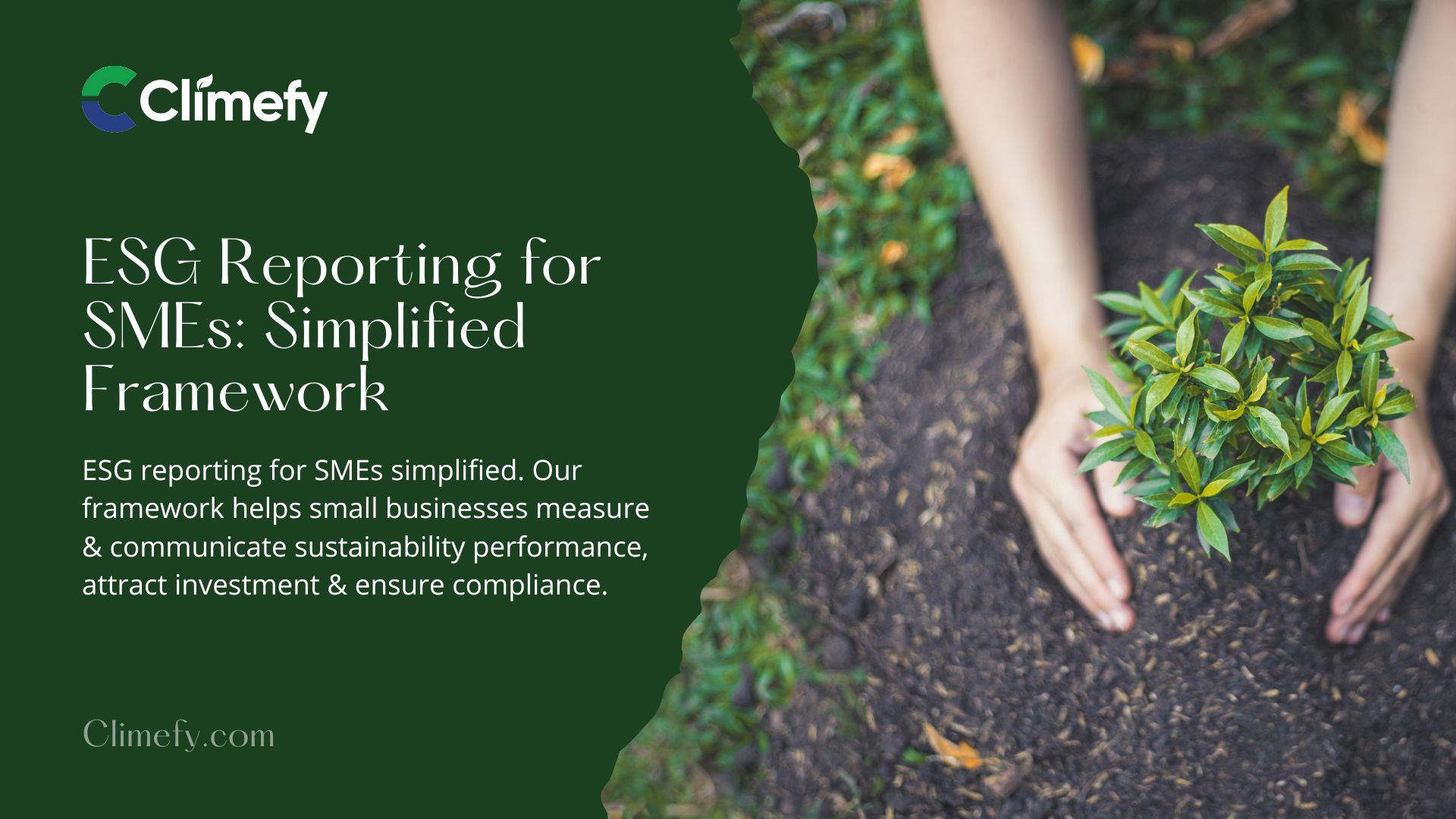 ESG Reporting For SMEs: Simplified Framework | Climefy
