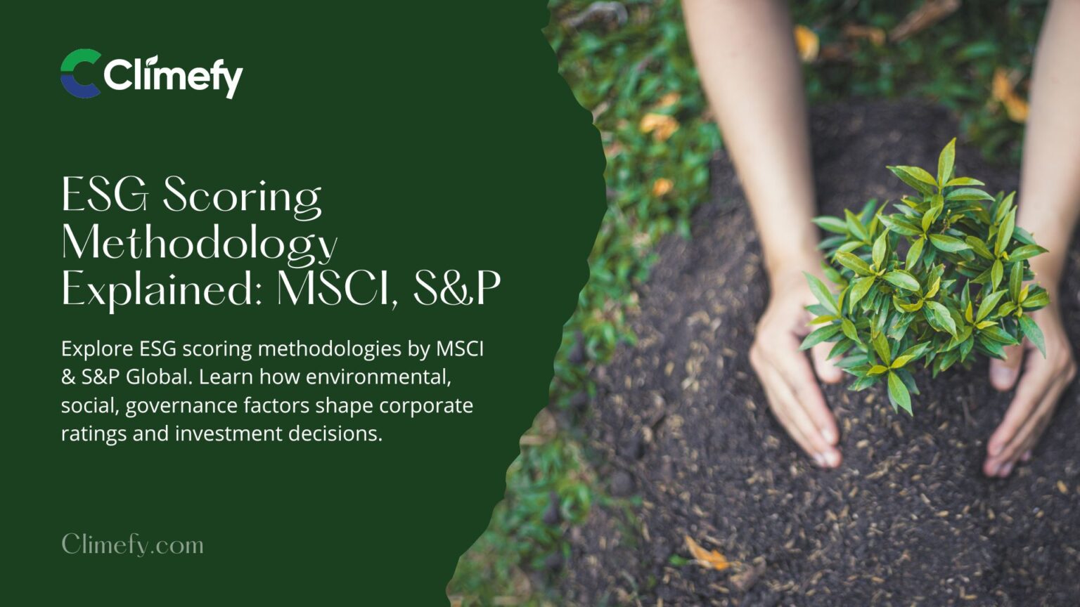 ESG Scoring Methodology Explained: MSCI, S&P | Climefy