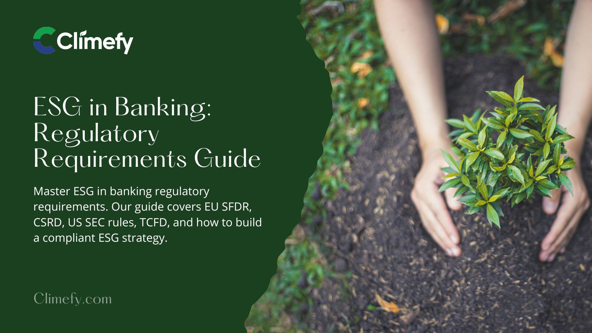ESG In Banking: Regulatory Requirements Guide | Climefy
