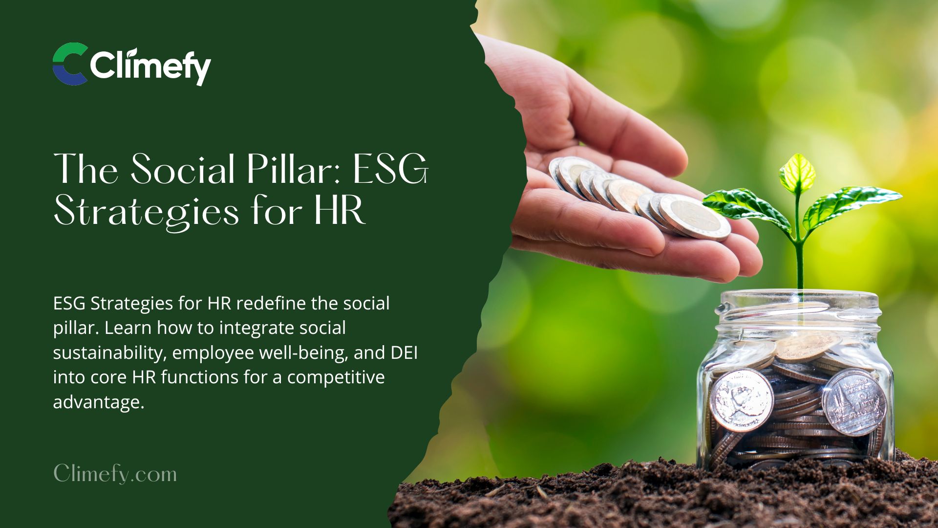 The Social Pillar: ESG Strategies For HR | Climefy