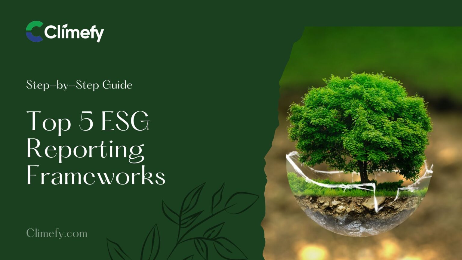 Top 5 ESG Reporting Frameworks: A Comparative Guide