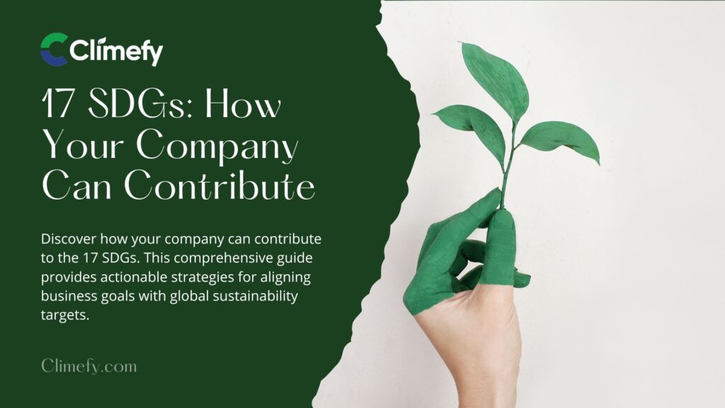 17 SDGs: How Your Company Can Contribute | Climefy
