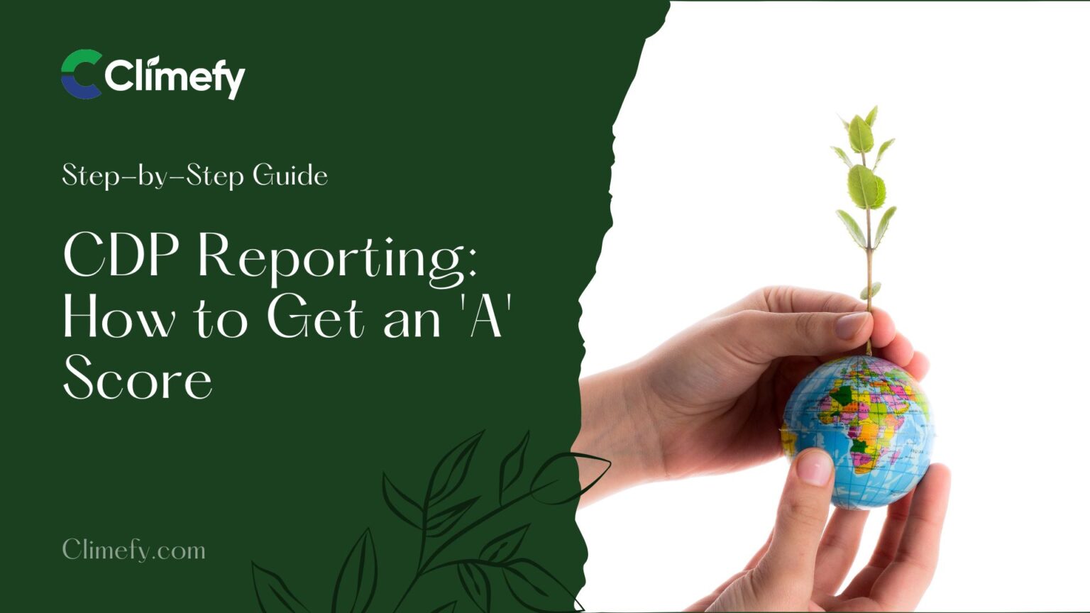 CDP Reporting: How To Get An 'A' Score | Climefy