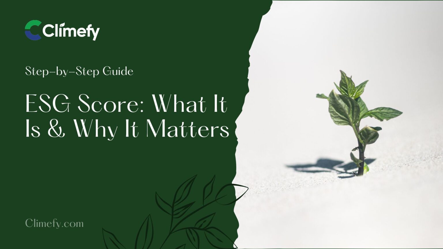 ESG Score: What It Is & Why It Matters | Climefy