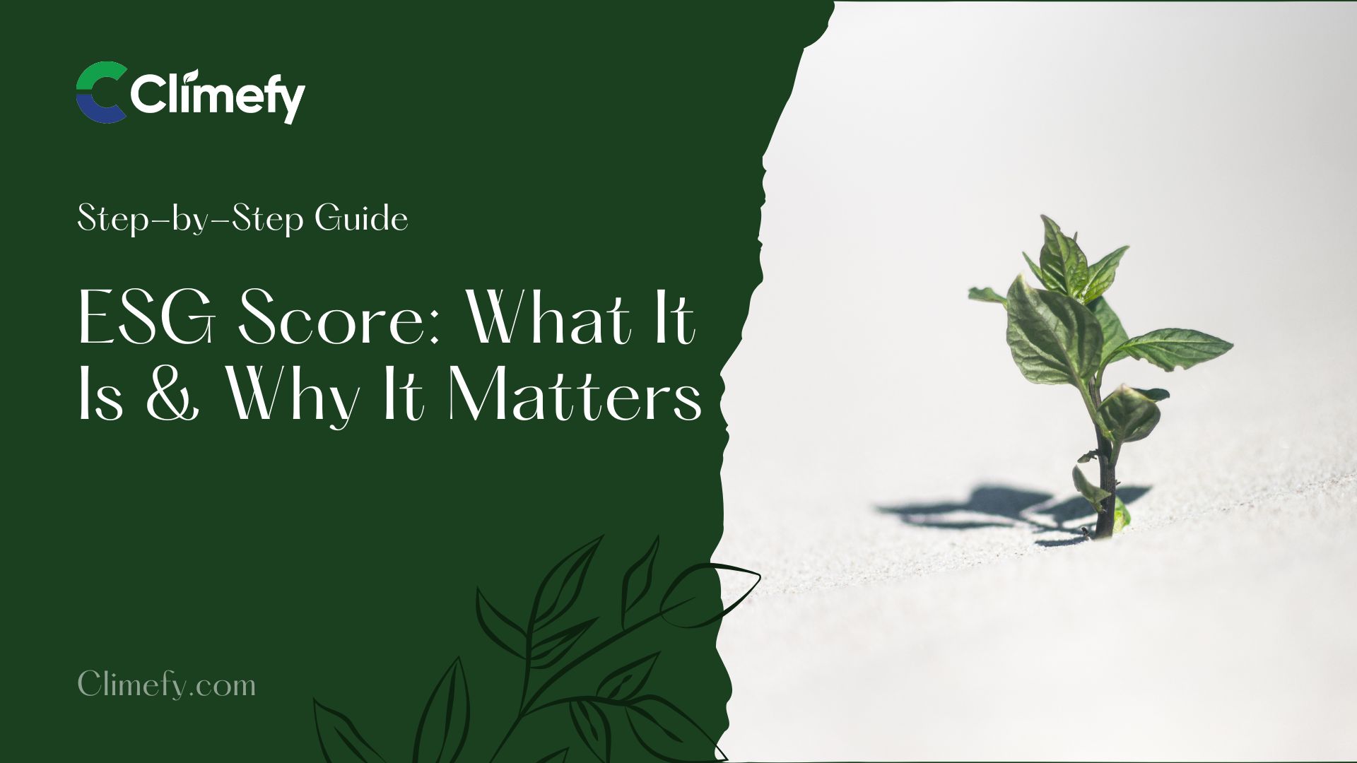 ESG Score: What It Is & Why It Matters | Climefy