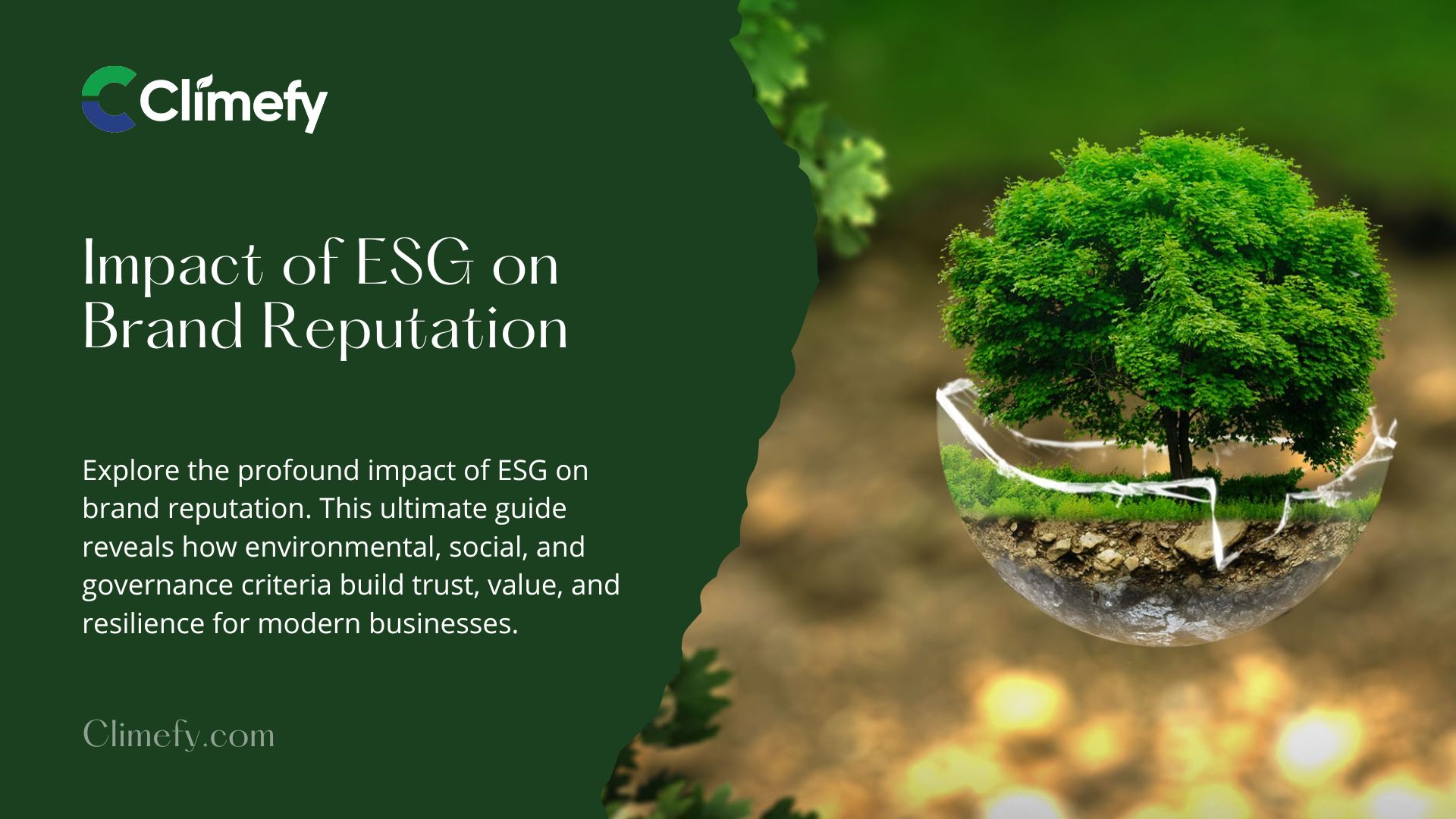 Impact Of ESG On Brand Reputation: Ultimate Guide | Climefy