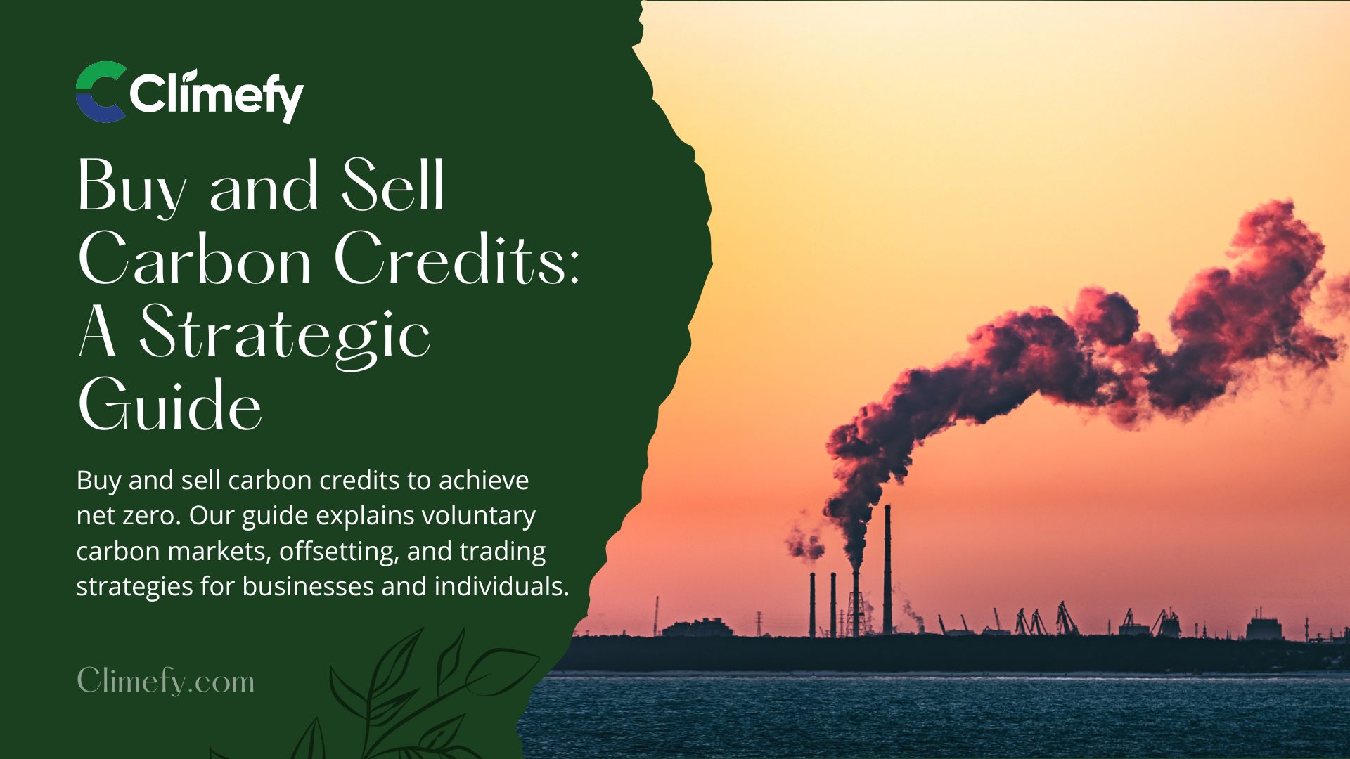 Buy And Sell Carbon Credits: A Strategic Guide | Climefy