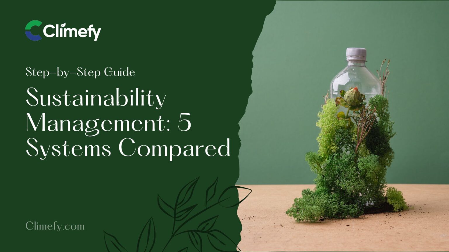 Sustainability Management: 5 Systems Compared | Climefy