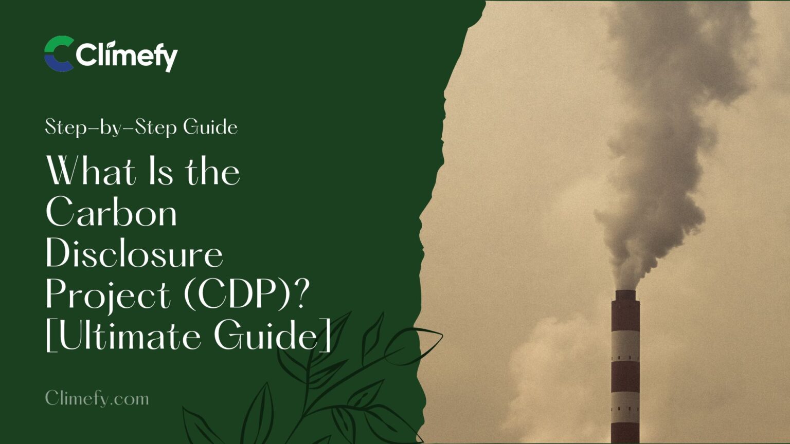 What Is The Carbon Disclosure Project (CDP) [Ultimate Guide]