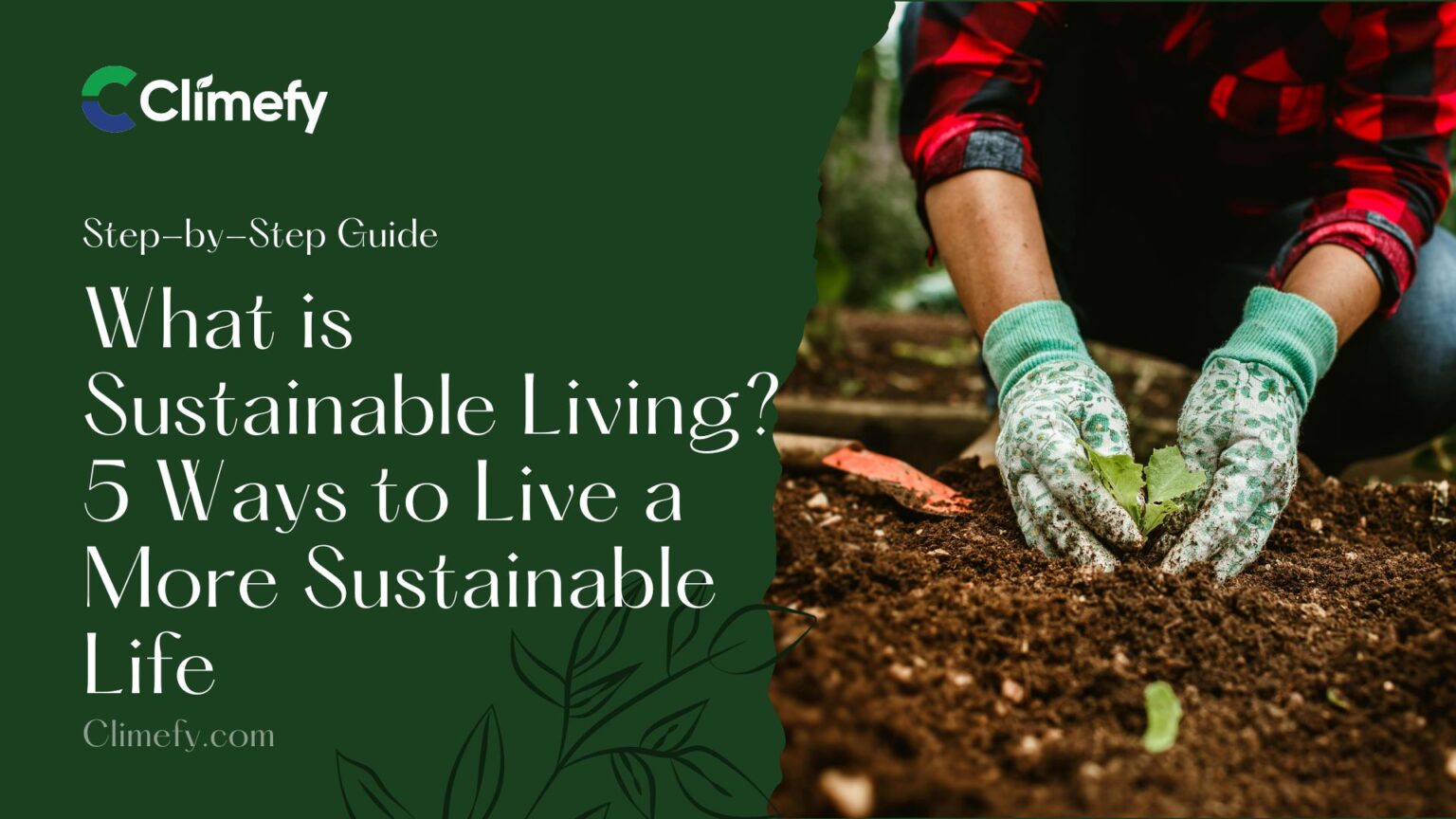 What Is Sustainable Living? 5 Ways To Live Sustainable Life