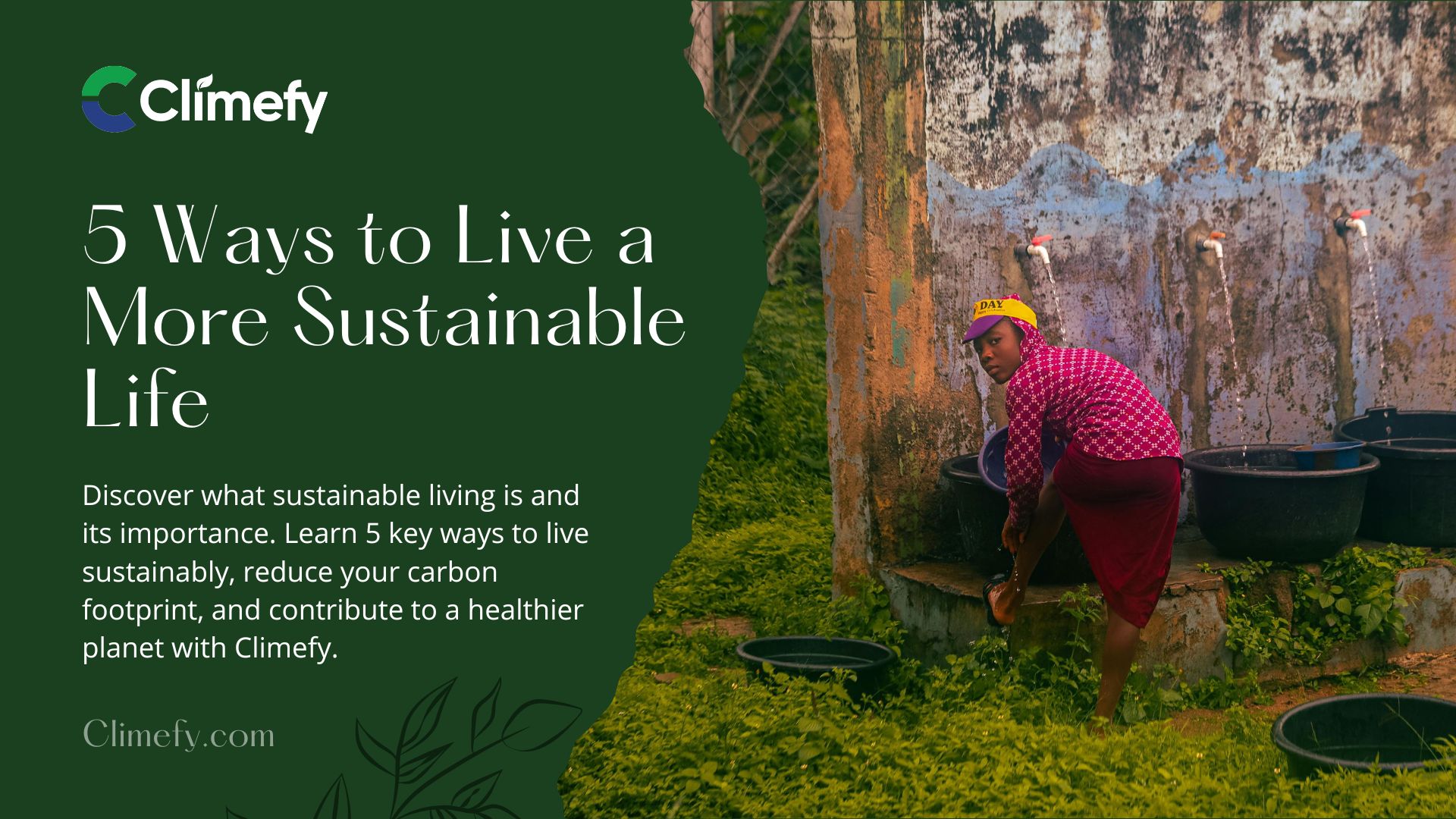 What Is Sustainable Living? 5 Ways To Live Sustainable Life