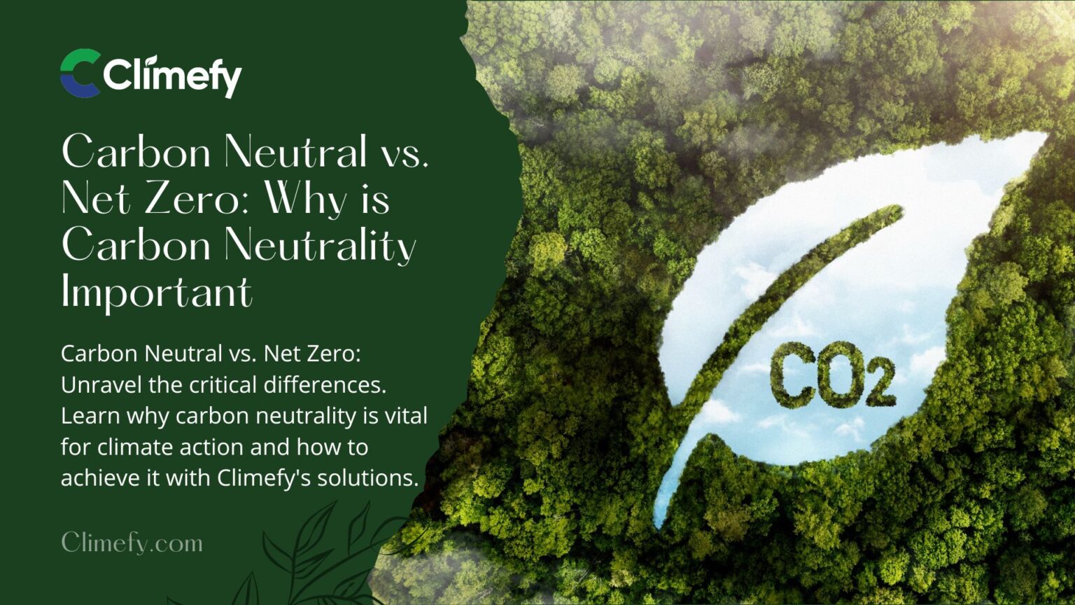 Carbon Neutral Vs. Net Zero: Why Is Neutrality Important