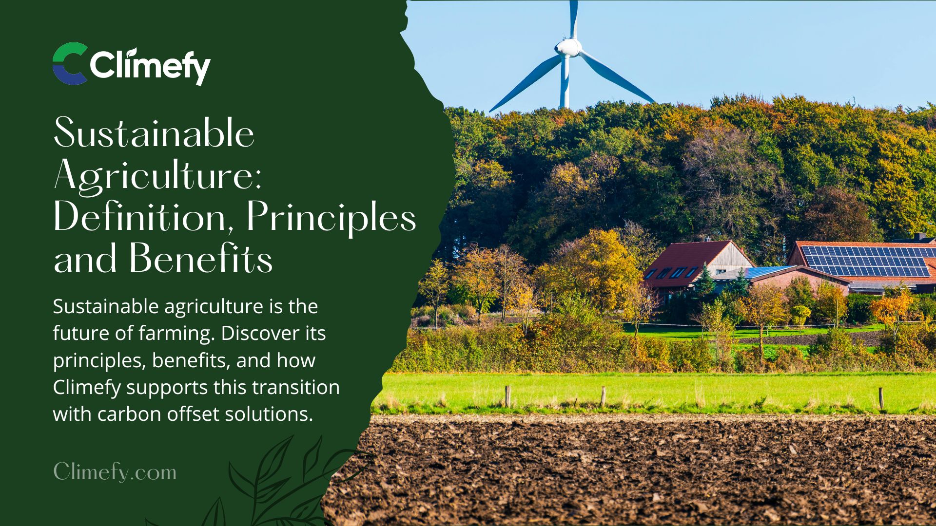 Sustainable Agriculture: Definition, Principles And Benefits
