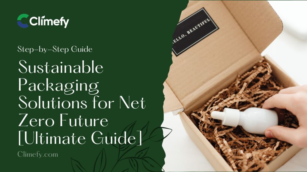 Sustainable Packaging Solutions For Net Zero Future