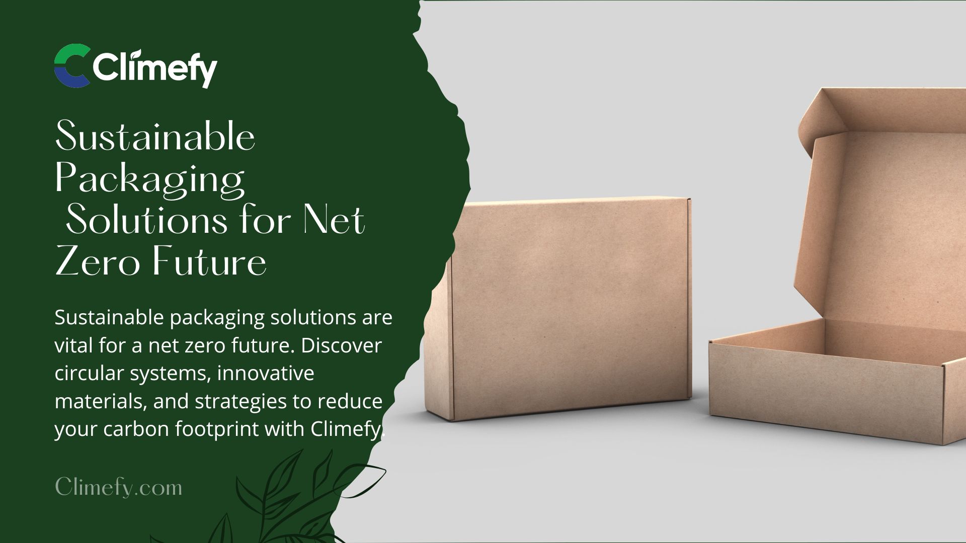 Sustainable Packaging Solutions For Net Zero Future