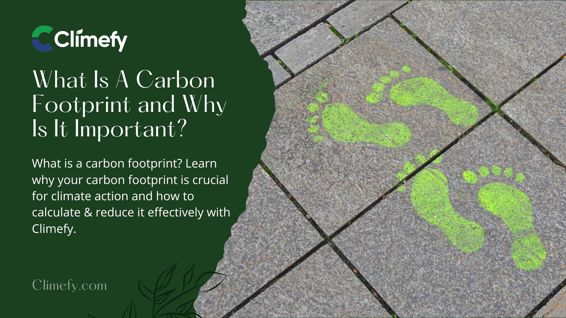 What Is A Carbon Footprint And Why Is It Important?