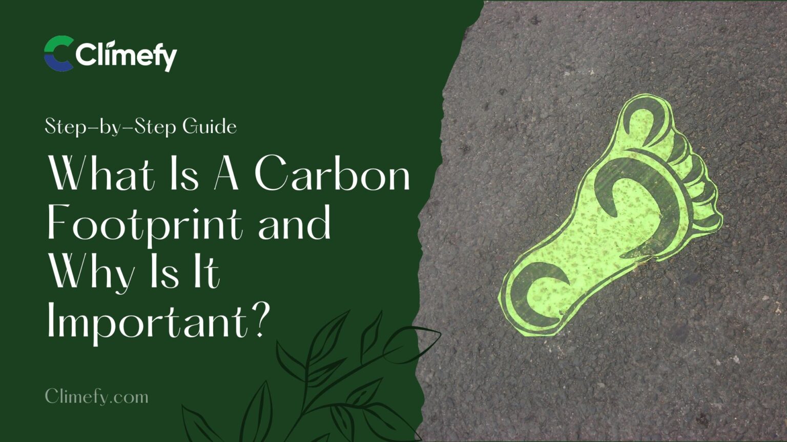 What Is A Carbon Footprint And Why Is It Important?