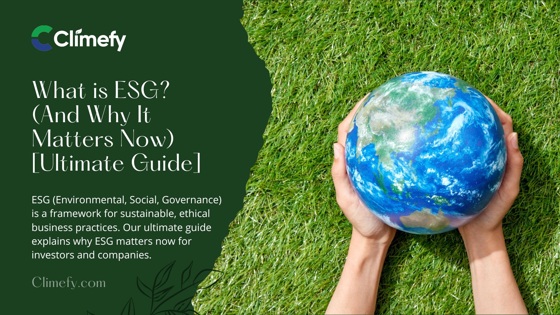 What Is ESG? (And Why It Matters Now) [Ultimate Guide]
