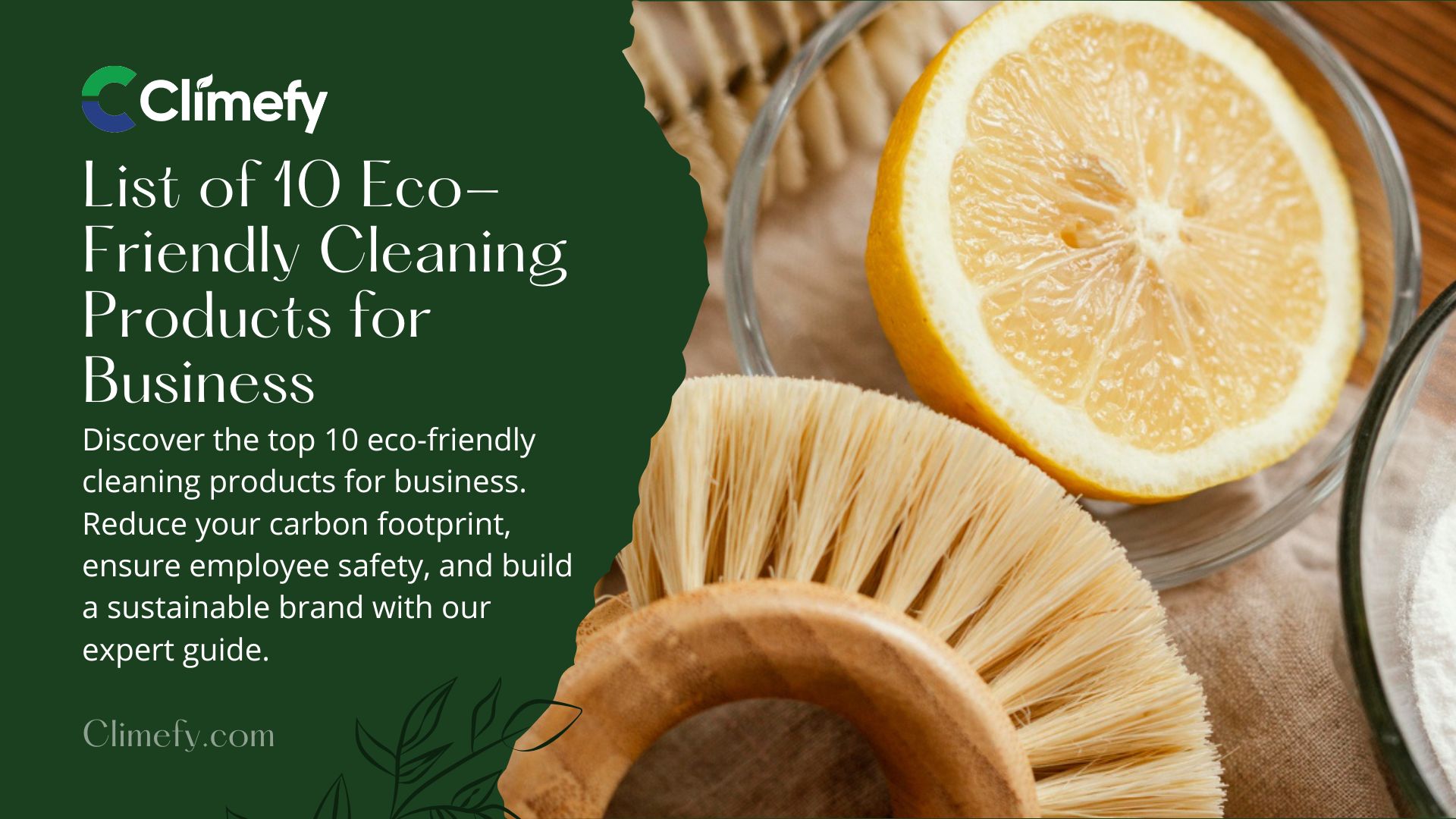 List Of 10 Eco Friendly Cleaning Products For Business