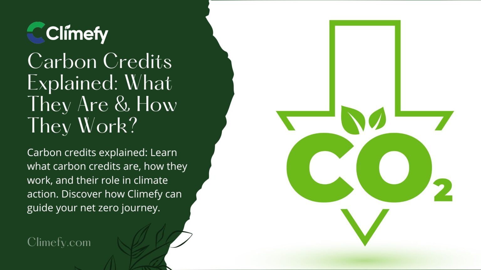 Carbon Credits Explained: What They Are & How They Work?