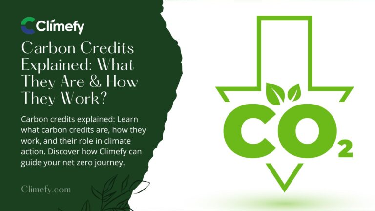 Carbon Credits Explained: What They Are & How They Work?