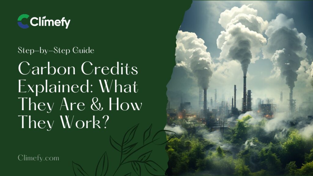 Carbon Credits Explained What They Are How They Work