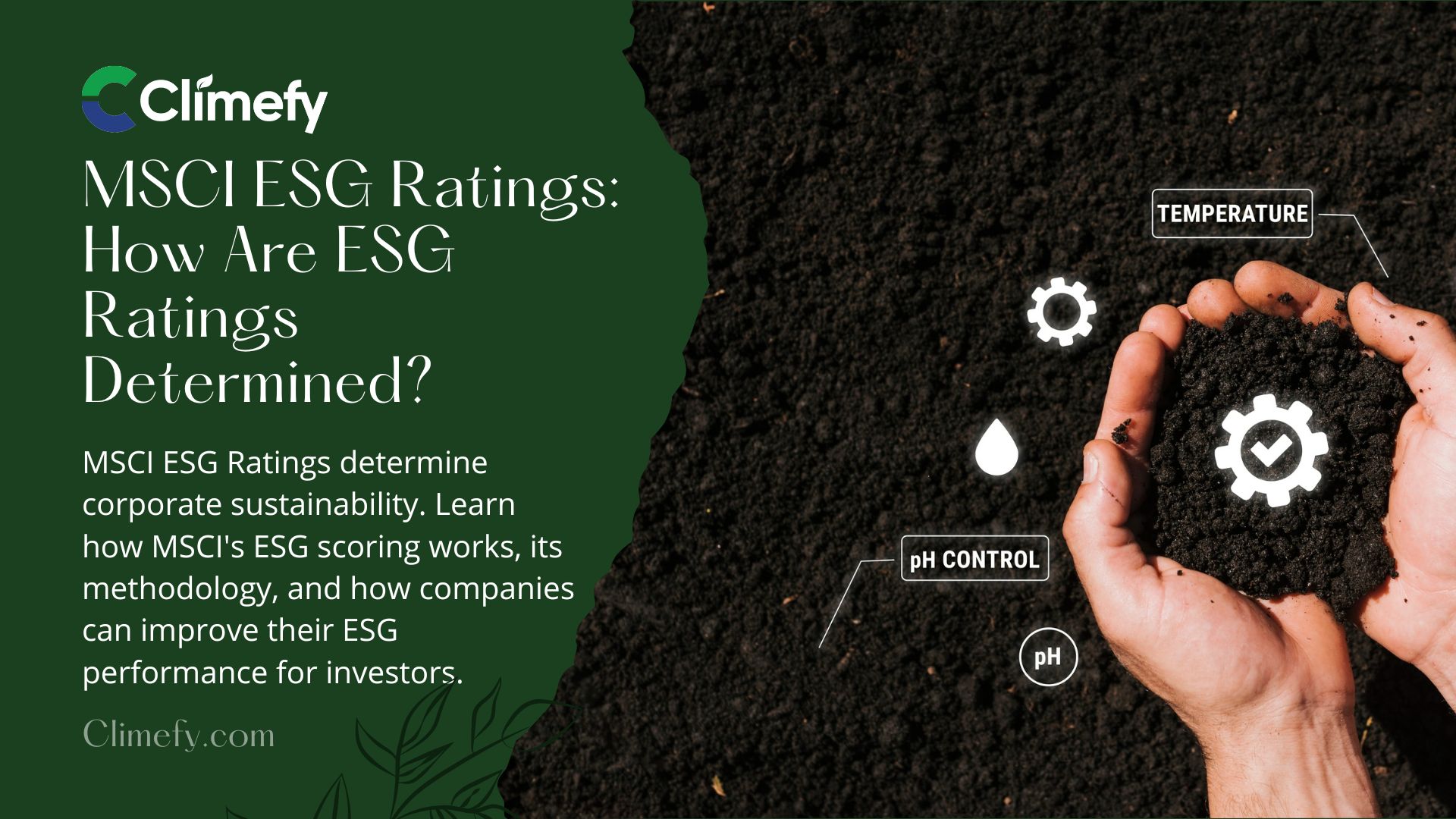 MSCI ESG Ratings: How Are ESG Ratings Determined?