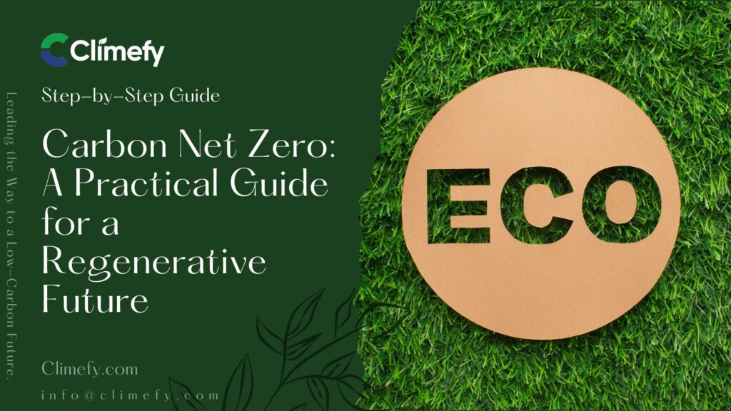 Carbon Net Zero: A Practical Guide | Climefy