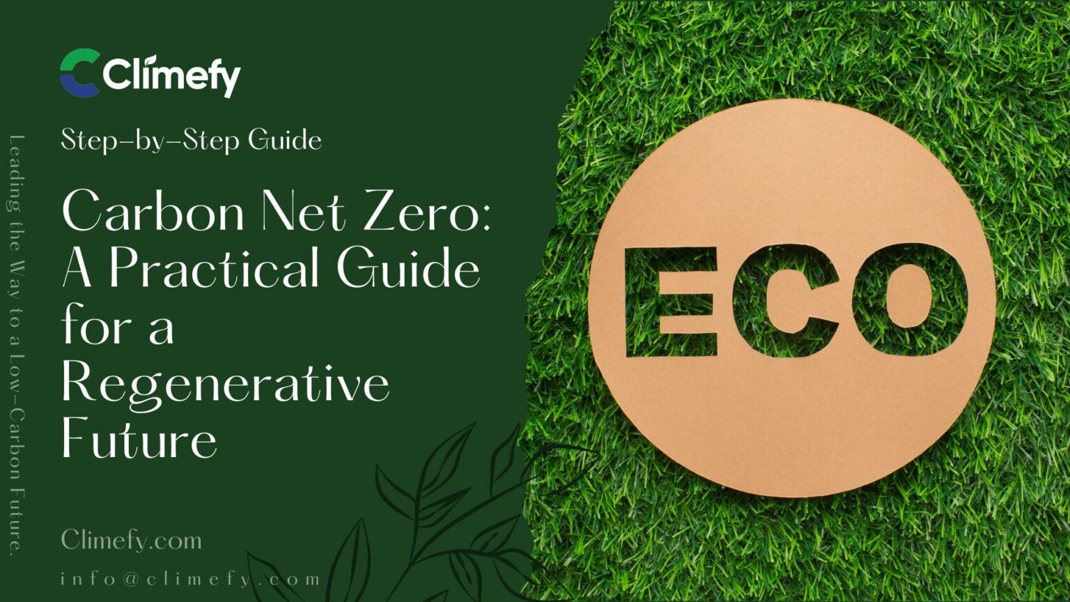 Carbon Net Zero: A Practical Guide | Climefy