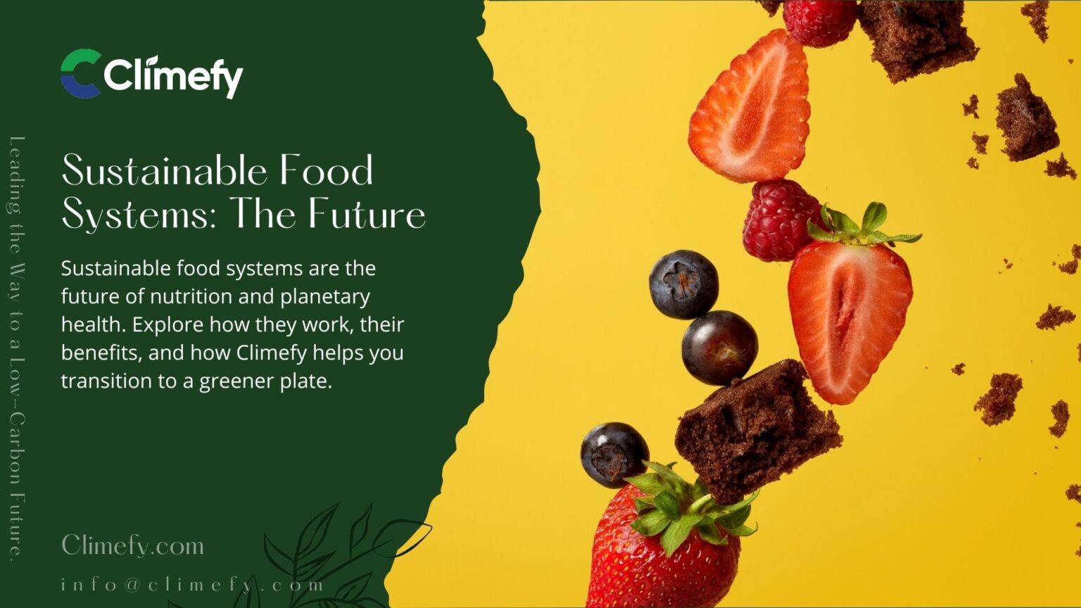 Sustainable Food Systems: The Future | Climefy