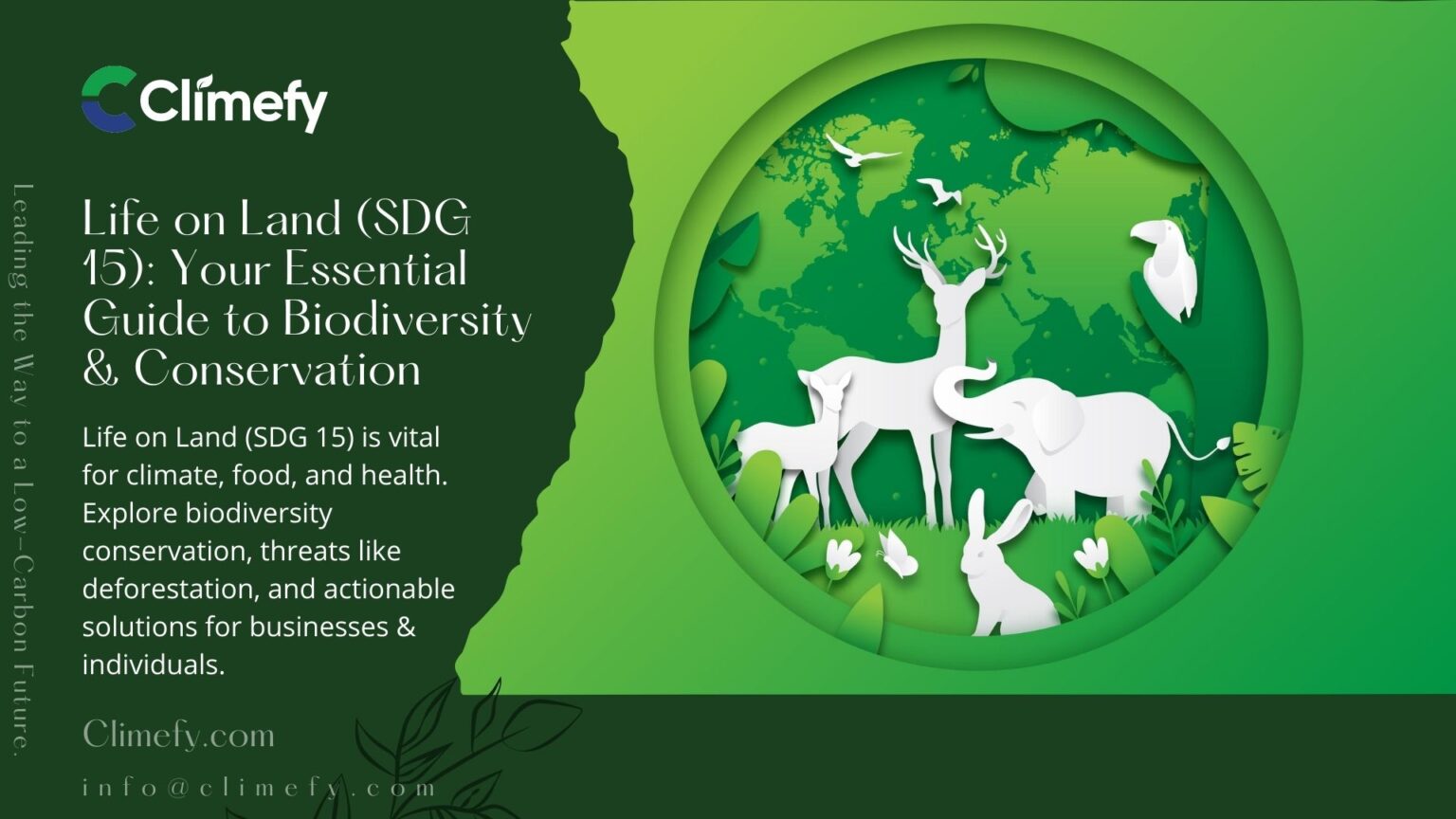 Life On Land (SDG 15): Guide To Biodiversity & Conservation