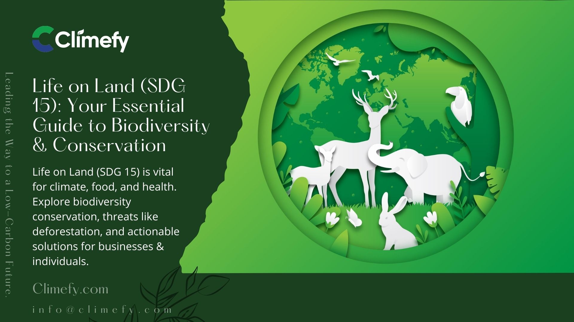 Life On Land (SDG 15): Guide To Biodiversity & Conservation