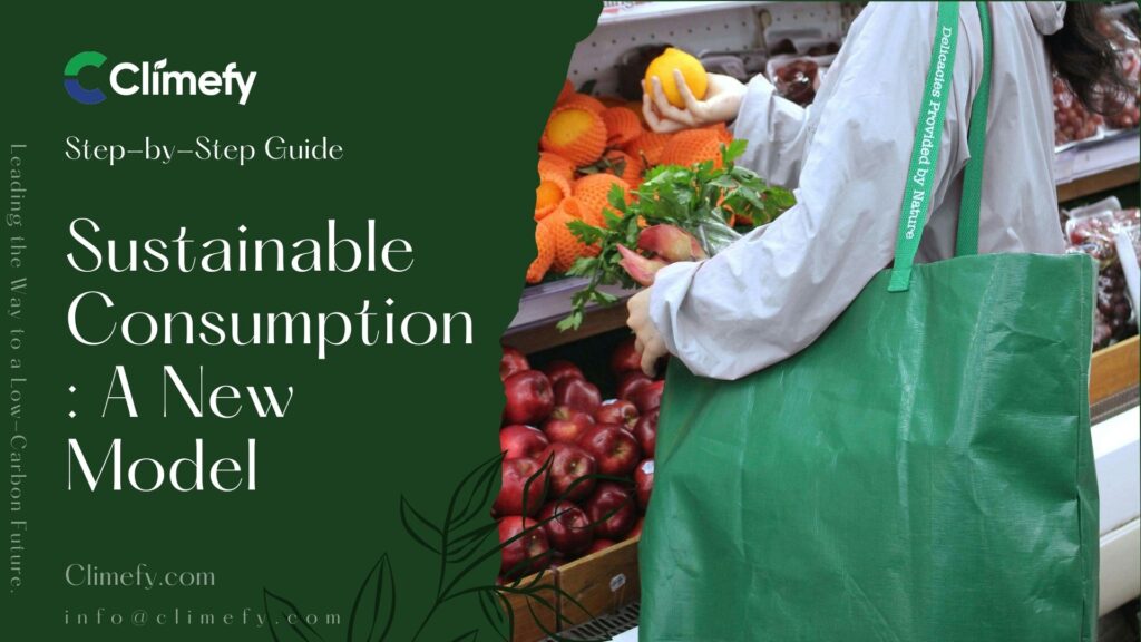 Sustainable Consumption: A New Model | Climefy