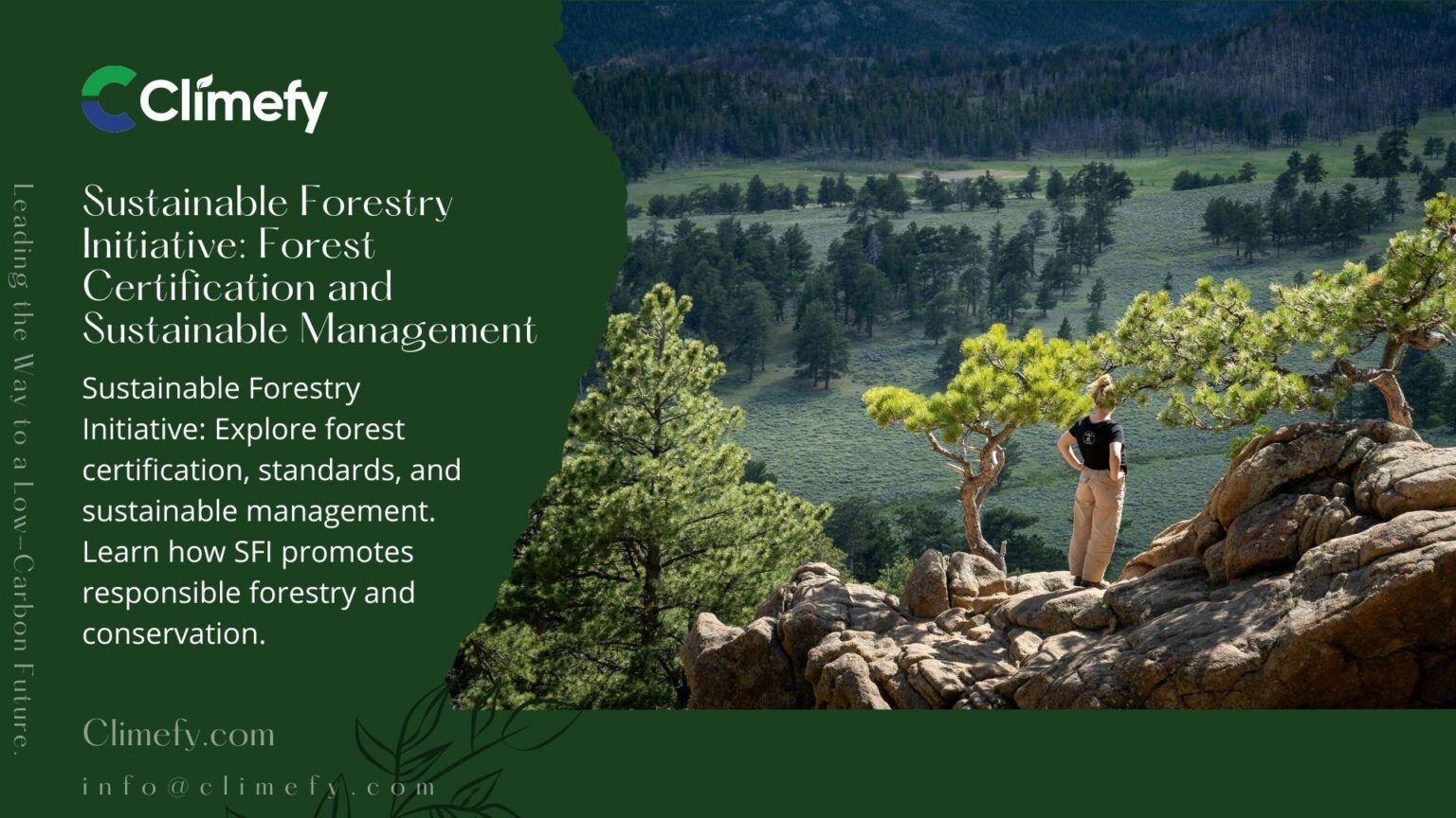 Sustainable Forestry Initiative: Forest Certification